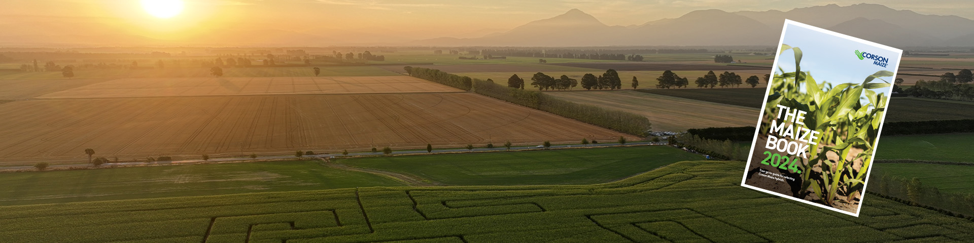 Grow with us | Corson Maize