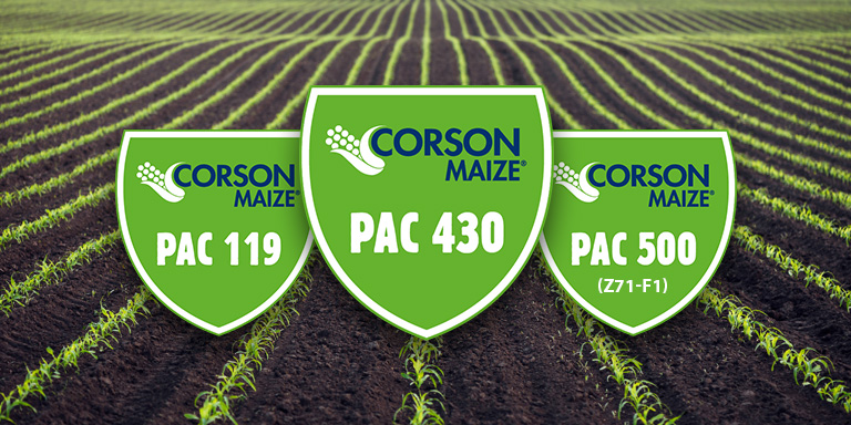 Soil Fertility and Fertilisers | Growing Maize | Corson Maize