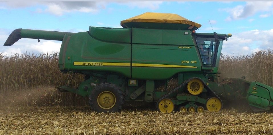When to Harvest Maize | Harvesting and Storage | Corson Maize