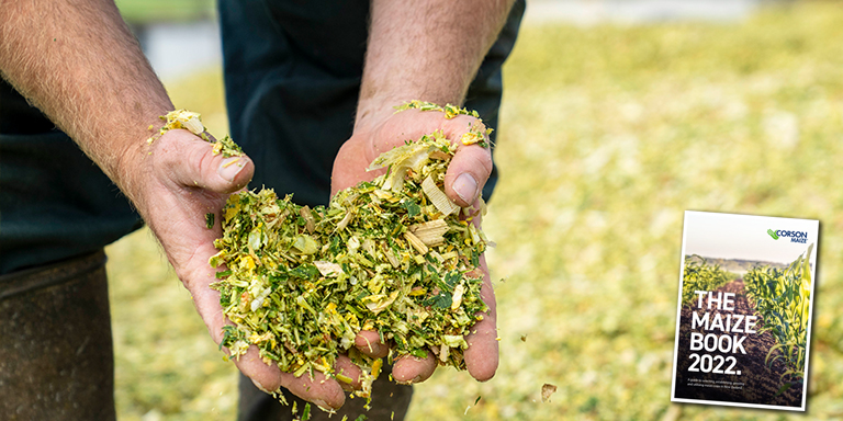Grow with us | Corson Maize