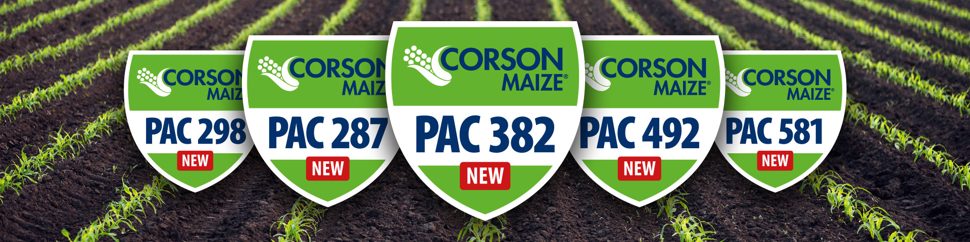 Hybrid naming system | Corson Maize