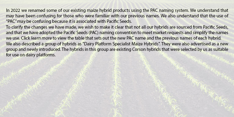 Corson Maize Products | Corson Maize
